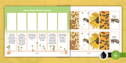 How Honey Is Made Worksheet