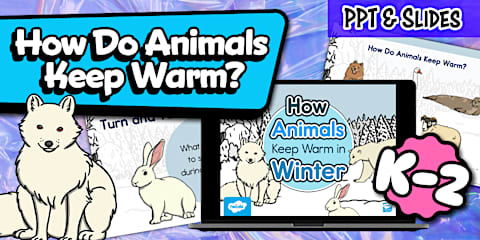 Animals in Winter Guided Reading Teaching Pack
