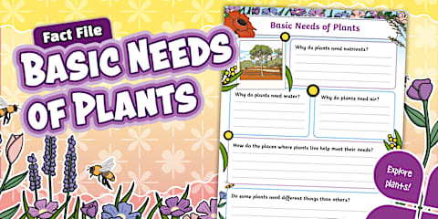 Plant Parts and Plant Needs Interactive Sorting Game
