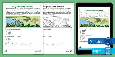 Crocodiles and Alligators Compare and Contrast Worksheet for K-2nd