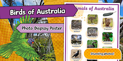 Minibeast Life Cycles Instant Photo Style Display Images