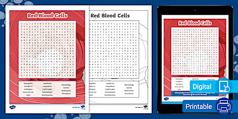 White Blood Cells Word Search for 6th-8th Grade