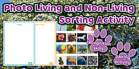 Photos of Living and Non-Living Things –Sorting pack