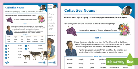 Proper and Collective Nouns Worksheet for 3rd-5th Grade