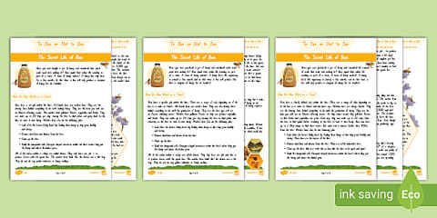 Busy Honeybees Reading Comprehension