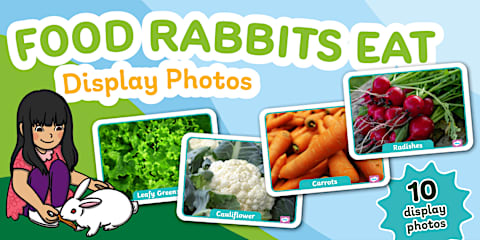 Rabbit Acrostic Poem Template