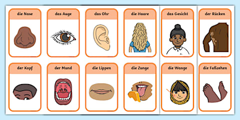 Body Parts Bingo - German/English
