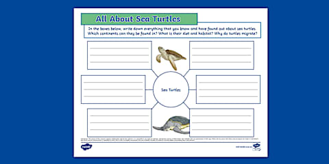 Describe the Sea Turtle Worksheet