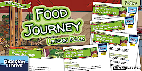 STEM (Living Things) Food Journey Sequencing Activity (5th Class)