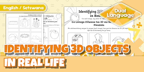 Grade 7 - Maths - Term 3 - Doing Transformations Activity Sheet ...