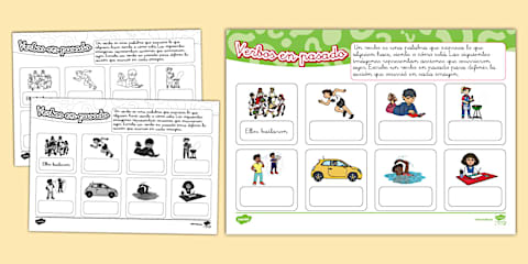 Examen de inglés por niveles: Basic Vocabulary Test - 2.º de Primaria
