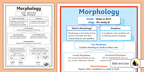 KS2 What Is Morphology In Language? Information Poster