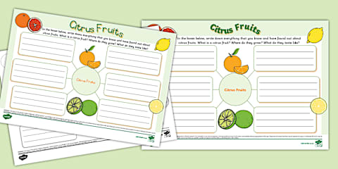 Grade 3 Life Skills Term 2 Healthy Eating Carbohydrates Mini-Book (CAPS ...