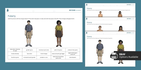 Growing Up - Puberty Body Changes Labelling Activity