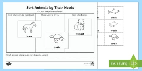 What Do Animals Need to Survive? Differentiated Worksheets