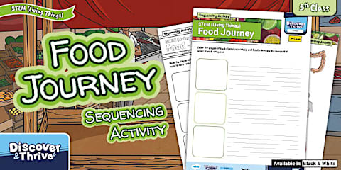 STEM (Living Things) Food Journey PowerPoint (5th Class)