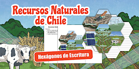 Ficha de Investigación: La Constitución de Chile