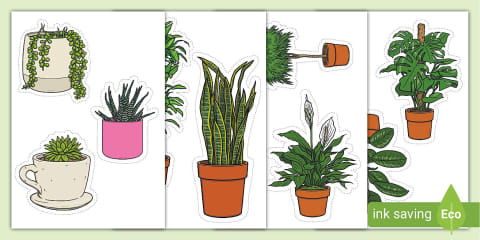 Cactus Bump it up Wall Display Pack