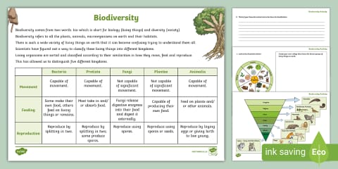 Biodiversity Field Journal Activity