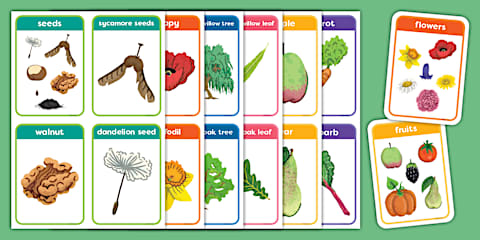 Planting Tools Photo Flashcards