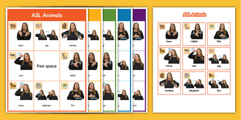 ASL Animals Interactive Word Cards