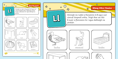 Phonics Sorting Cards With Long Vowels (Gaeilge).