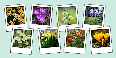 Wildflower Botanical Themed Spring Display Lettering