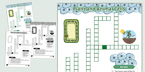 Plant Cell Structure and Function Game