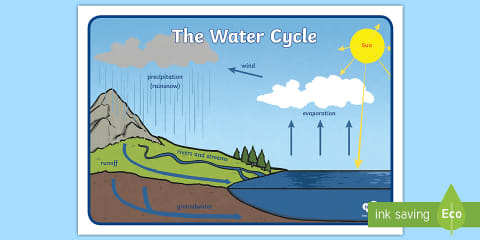 The Water Cycle Information Poster