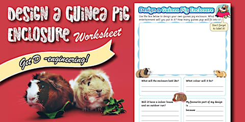 Guinea Pig Diagram Pack