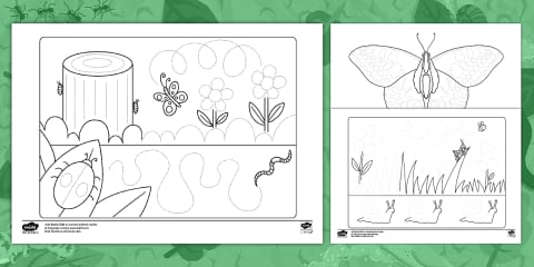 Minibeasts Handwriting Worksheets