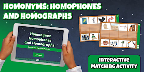 Grade 3 Phonics: Homonyms Interactive Go! Game