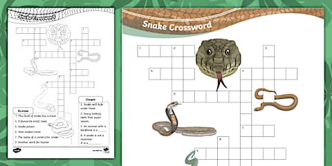Snakes Word Search