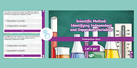 Fifth Grade Scientific Method Graphic Organizer