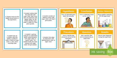 Scientific Method Sorting Activity