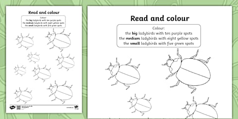 Autumn Read and Colour Worksheet