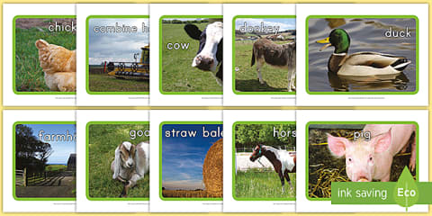 Move Like the Farm Animals! Gross Motor Skills PowerPoint & Google Slides
