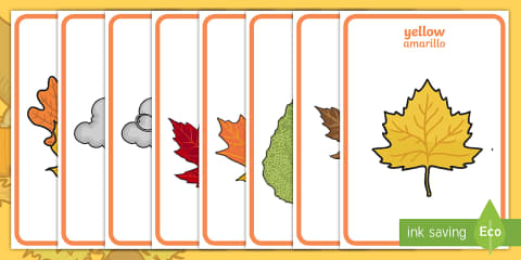 Autumn Leaf Sequencing Worksheet English/Spanish