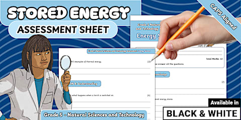 Grade 5 - Natural Sciences and Technology - Term 3 - Activity Sheet ...