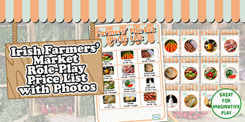 Signs of Summer Photo Flashcards