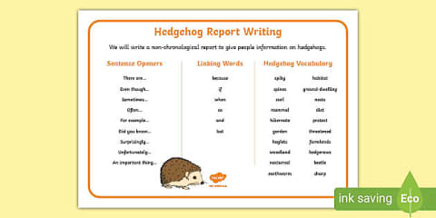 LKS2 All About Bats Reading Comprehension Activity