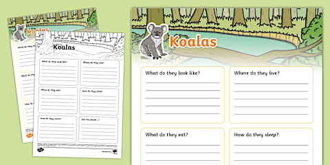 Koalas Fact Sheet - Information Report - Facts about Koalas