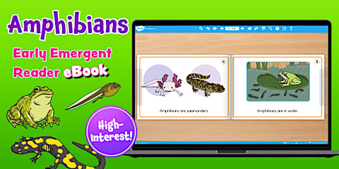 10 Facts About Amphibians Display Poster