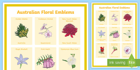 Australian Flora and Fauna Themed Animal Cut-Outs