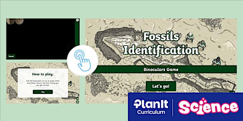 Fossils Interactive Matching Game