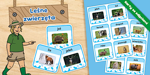 Robert i rudzik | E-book| Kolorowanka