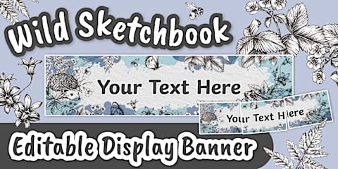 Wild Sketchbook Year 3 and 4 Common Exception Words Display Poster