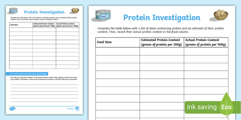 Food Groups: Protein Mind Map