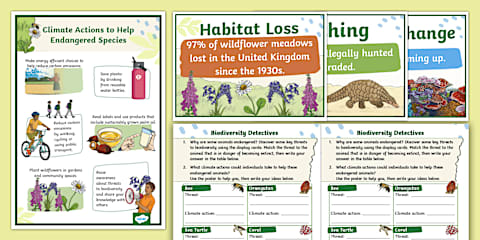 KS2 Minibeasts Photography Activity