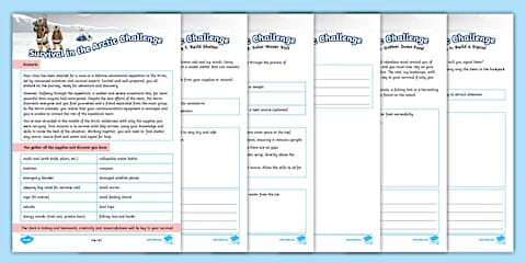 Desert Island Items Game - Beyond Transition Resources